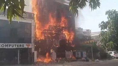Lucknow fire kills 15 at commercial building housing pet shop ...